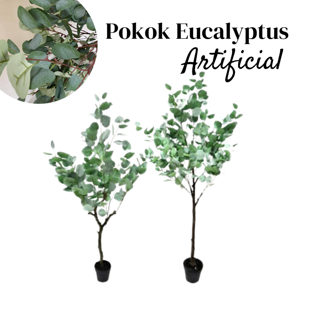 Pokok Eucalyptus Artifiical | Pokok Hiasan Viral | Pokok Raya ...
