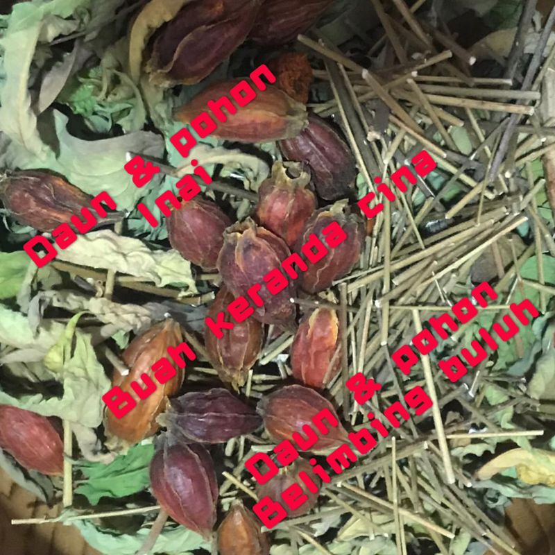 Turunkan Bacaan Kuning Mandian Herba Daun Herba Asli Natural Untuk Bayi ...