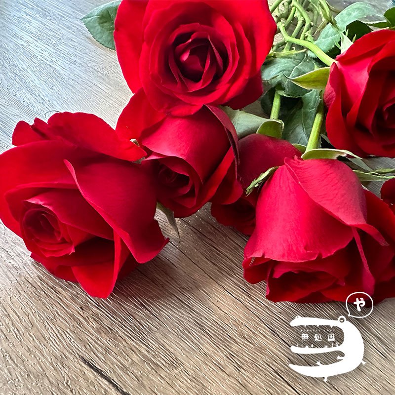 [High-grade Roses] [10 stems] Directly send from Cameron Highlands ...