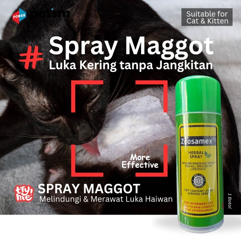 Spray Maggot Wound / Spray Ulat Lalat pada Luka Haiwan - 375ml | Shopee ...