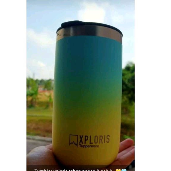xploris tupperware 350ml with box (price include postage) | Shopee Malaysia