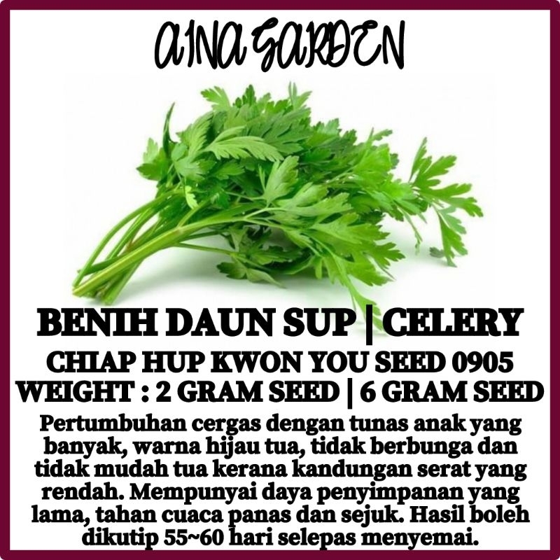 HSK [2gram/6gram] BIJI BENIH DAUN SUP LOCAL | CELERY SEED CHIAP HUP KWON YOU SEED | BIJI BENIH ...