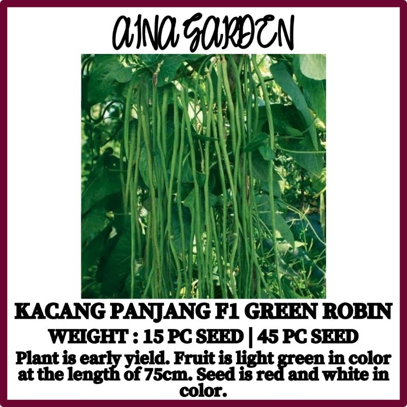HSK [15pc/45pc] KACANG PANJANG HIJAU LONG BEAN SEED GREEN ROBIN 0335 ...