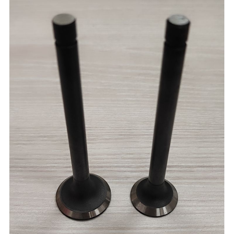 Kubota B6000 NEW inlet valve / exhaust valve ready stock | Shopee Malaysia