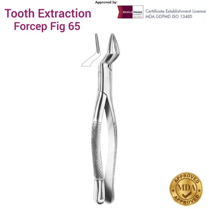 Dental Tooth Extraction Forceps Fig 65 upper Incisors & roots Adult Steel Extracting Gigi ...