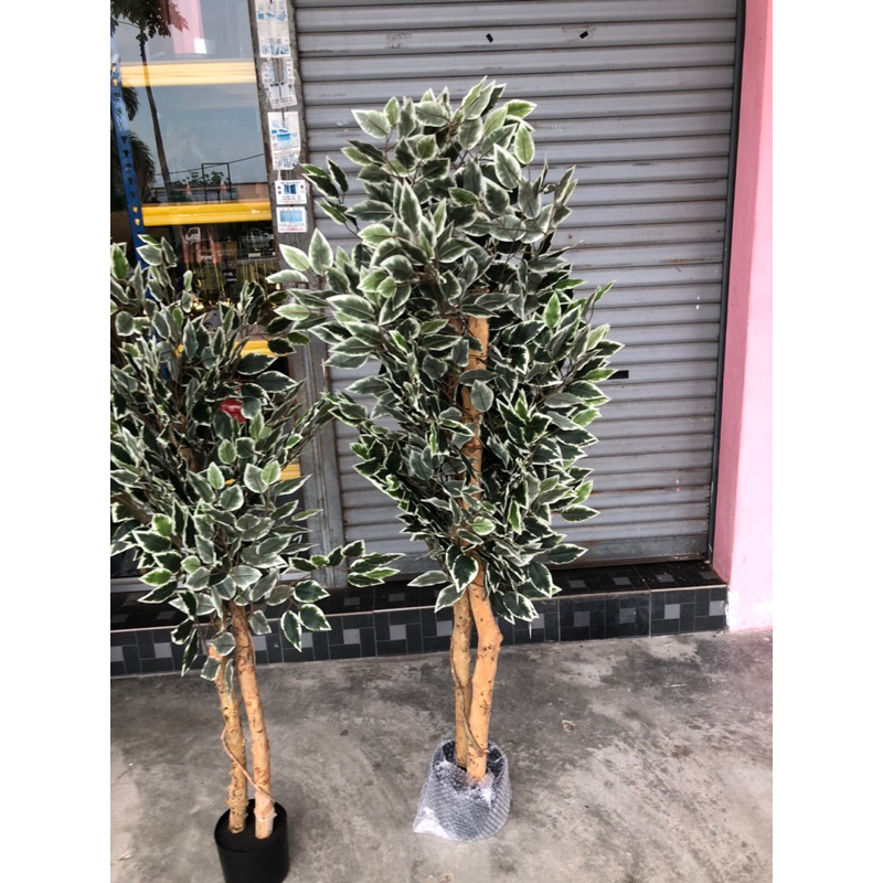 Artificial Ficus Banyan Tree Variegated Leaves Fejka Weeping Fig plant ...