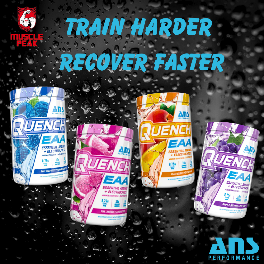 ANS Performance Quench EAA, 30 Servings Pre Workout Recovery Energy Halal Fitness Gym Supplement ...