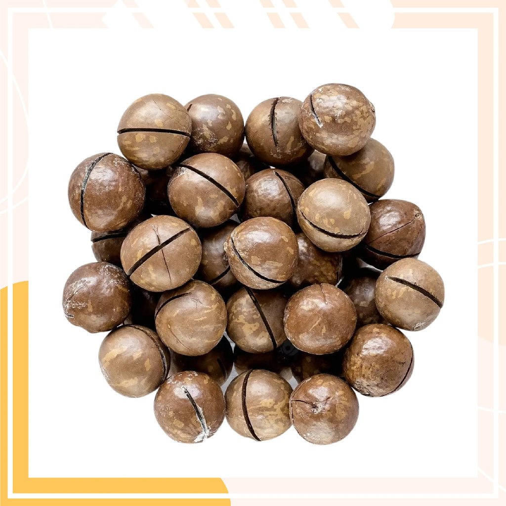BEACONMART Roasted Salted Macadamia In Shell | Shopee Malaysia