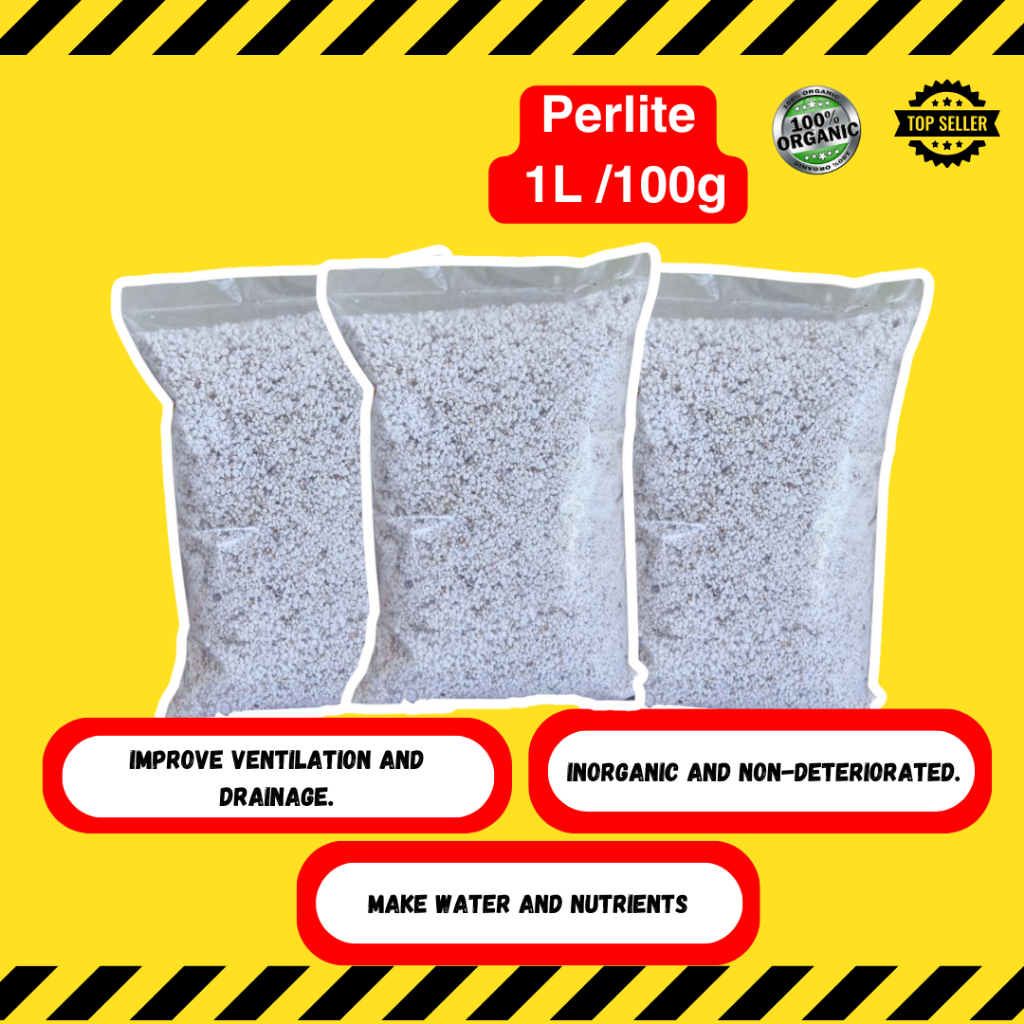 Perlite 500g 珍珠岩 3-6mm For Cactus & Succulents soil (Natural Expanded ...