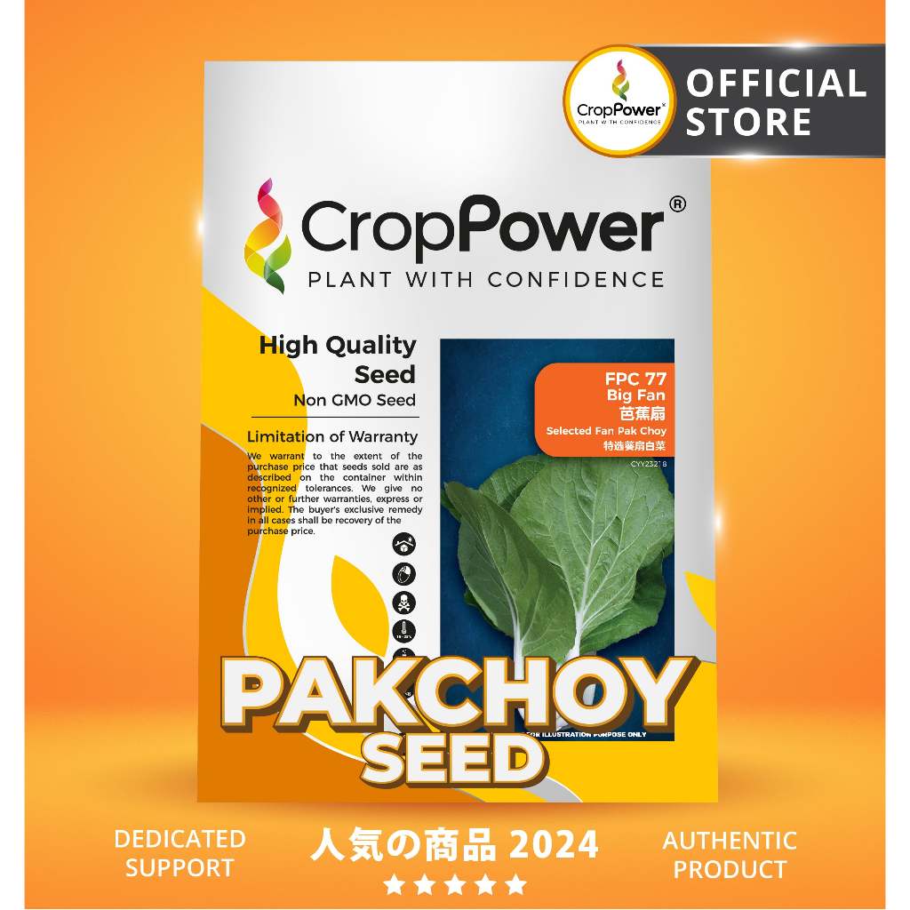 (50 GRAM) Biji Benih Sawi Putih Big Fan 芭萑扇 FPC77 CROP POWER Fan Pak ...