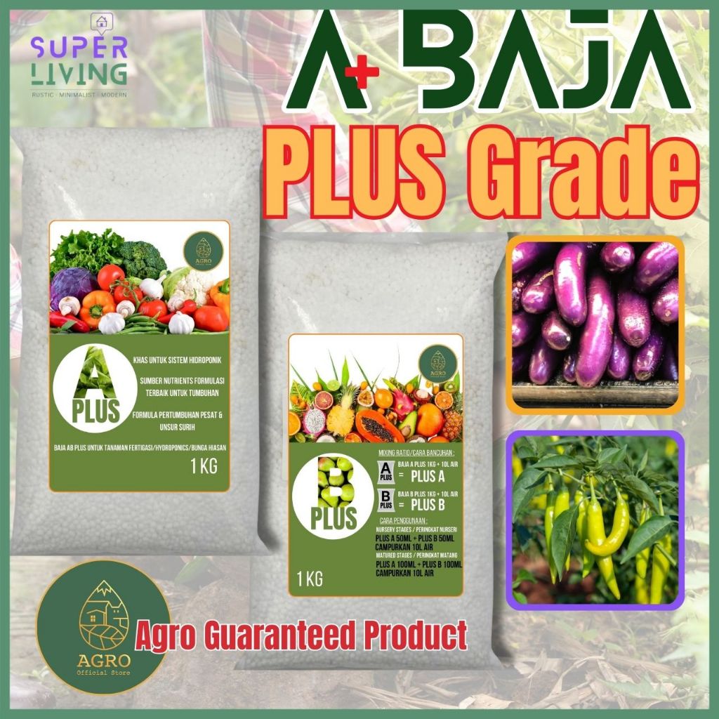 Super | Baja | Baja AB | Paksa Gemok | Hidroponik | Sayur | Cili ...