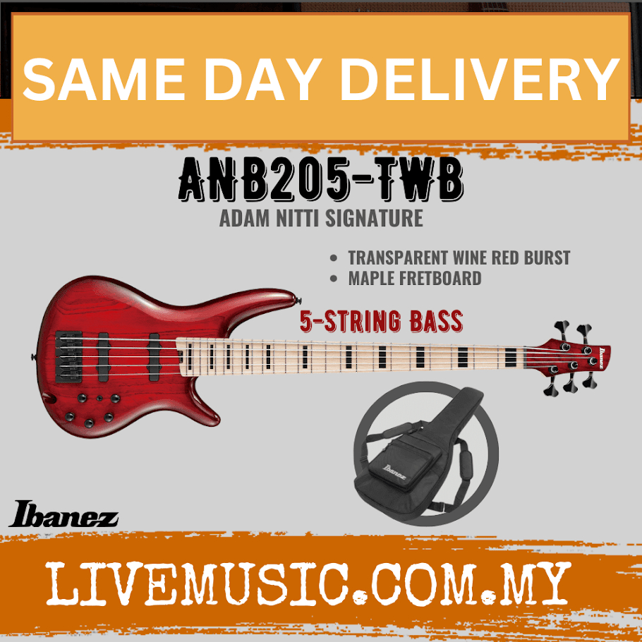 Ibanez ANB205-TWB Adam Nitti Signature Premium Bass Guitar ...