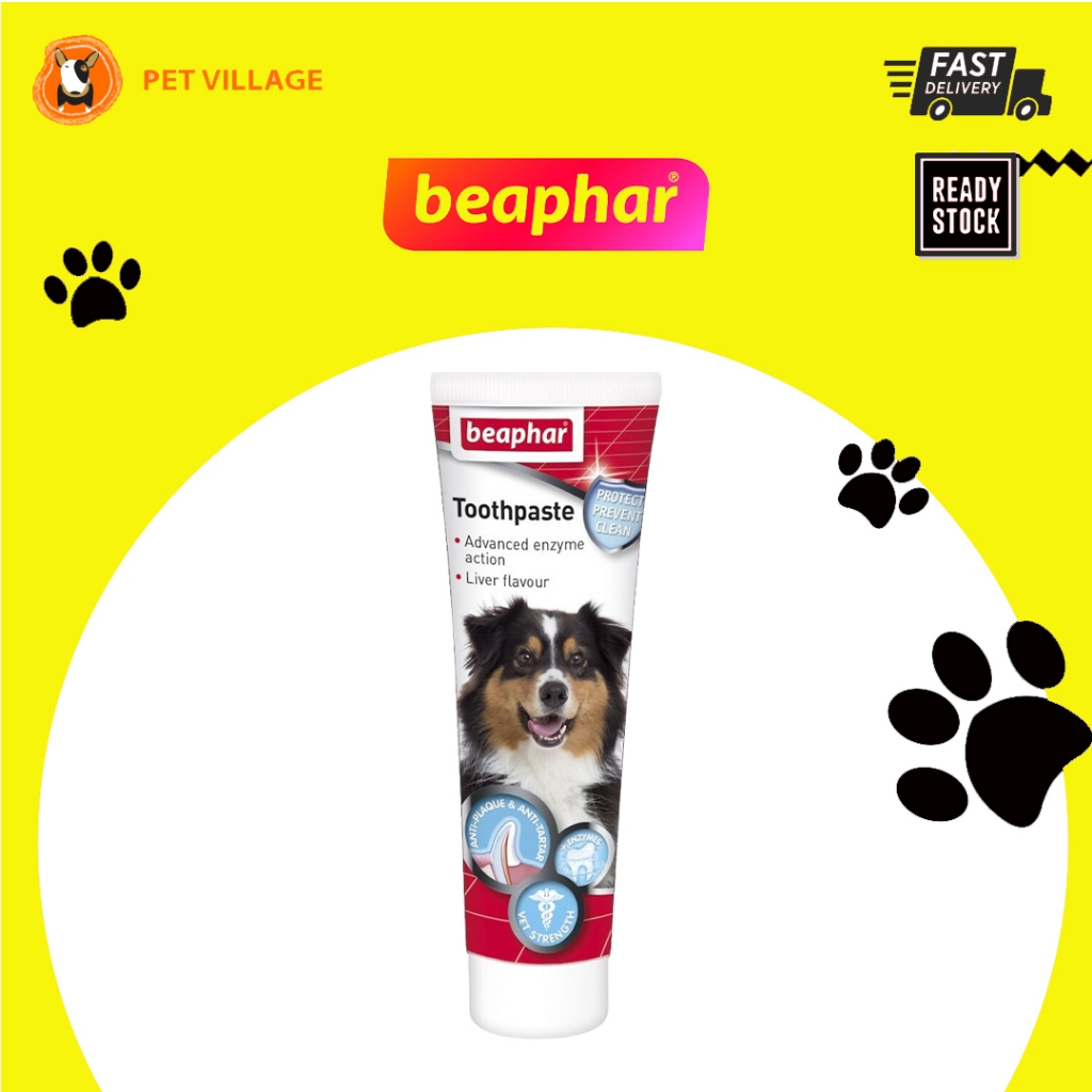 BEAPHAR Liver Flavored Toothpaste For Cats & Dogs 100g | Shopee Malaysia