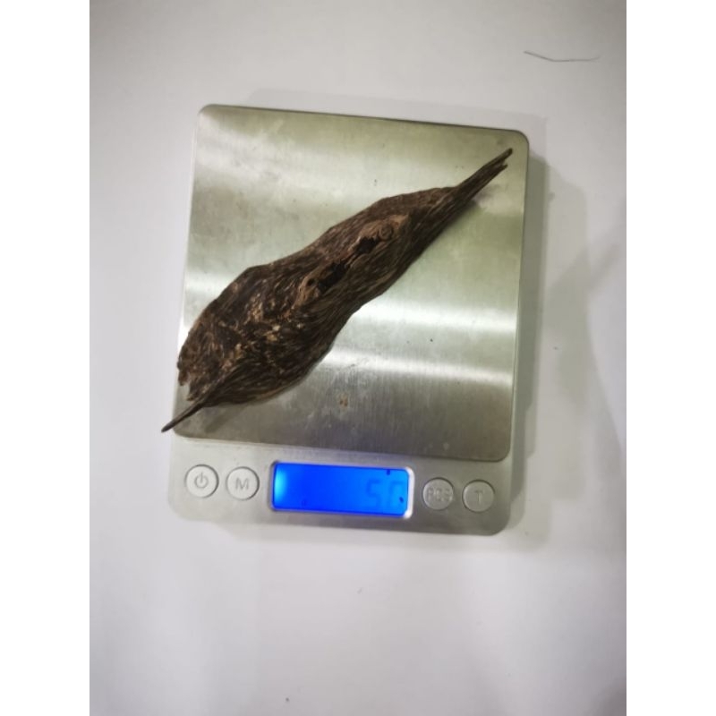 Teras Gaharu HUTAN (100 % Wild Agarwood) - Origin from Sabah | Shopee ...