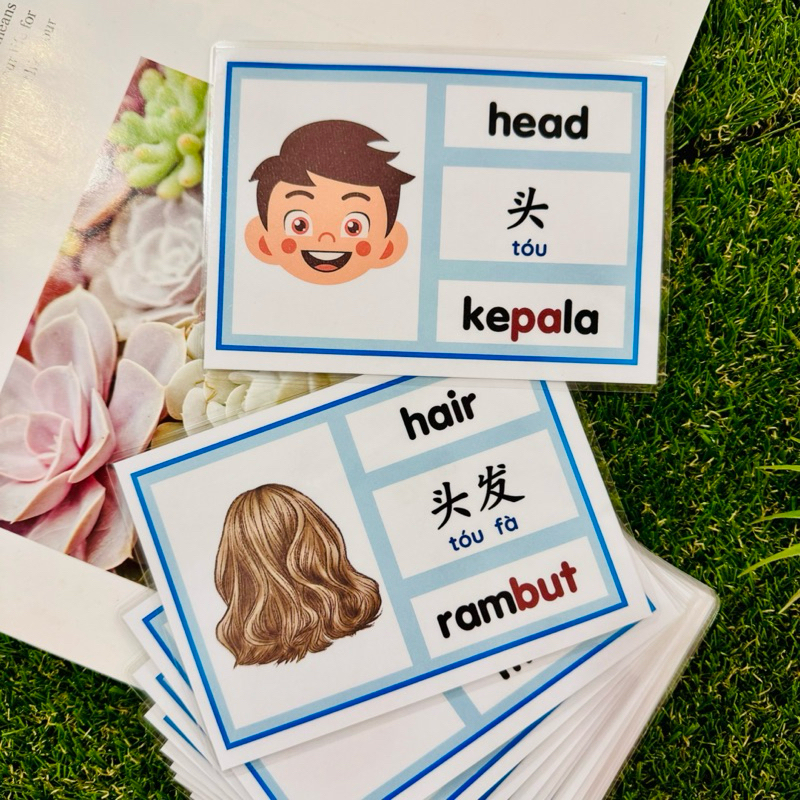 149 English ·Malay·华语 Tri Language Flash Card·3in1 三语识字字卡】三语 华文 英文 马来文 ...