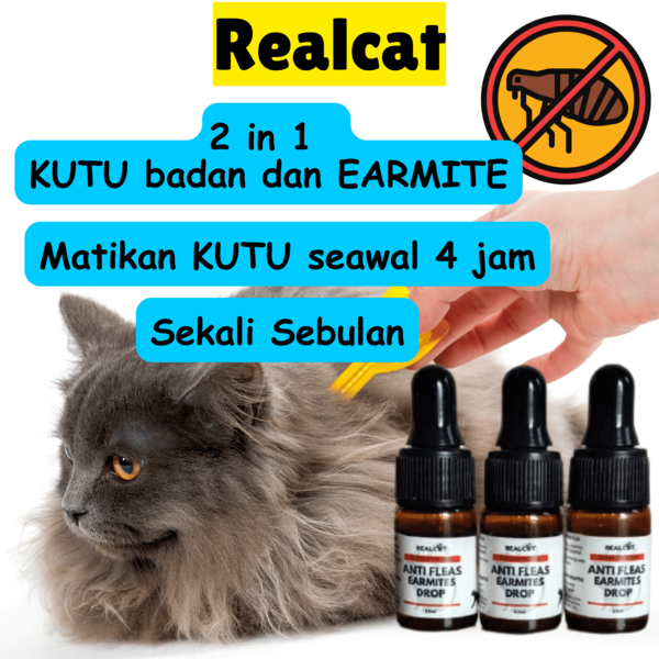 UBAT KUTU ANTIFLEAS EARMITES FLEAS TICK LICE KUCING CAT | Shopee Malaysia