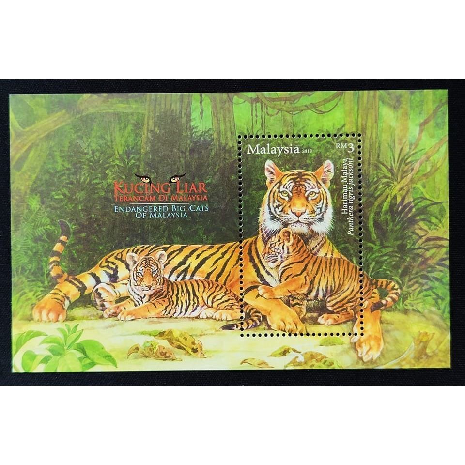 [MSV-0082] 2013 Kucing Liar Terancam Di Malaysia / Endangered Big Cats ...