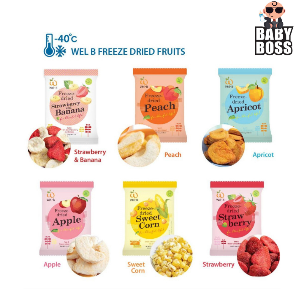 Wel-B Freeze Dried Fruits | Shopee Malaysia