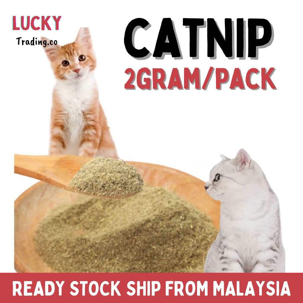 2g Catnip For Cat Premium Catnip Powder Catnip Herb Treats Furball ...