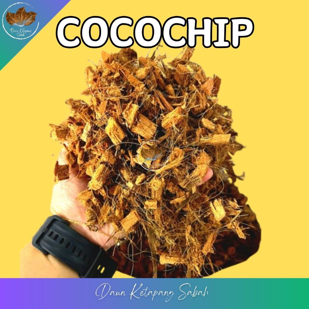 (1L) COCOCHIP/ COCOHUSK/ SABUT KELAPA CINCANG | Shopee Malaysia