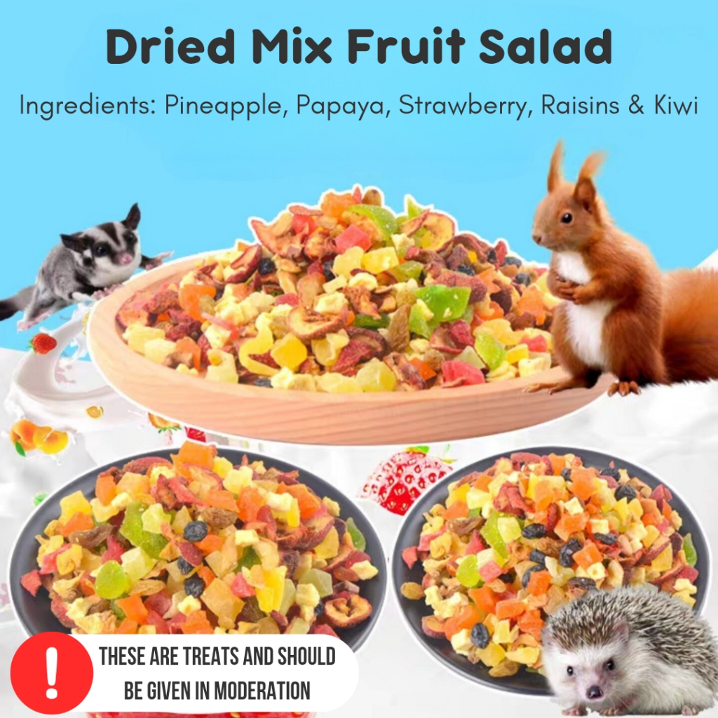 JY Hobbies Sugar glider food HPW goat milk fish snack sugar glider ...