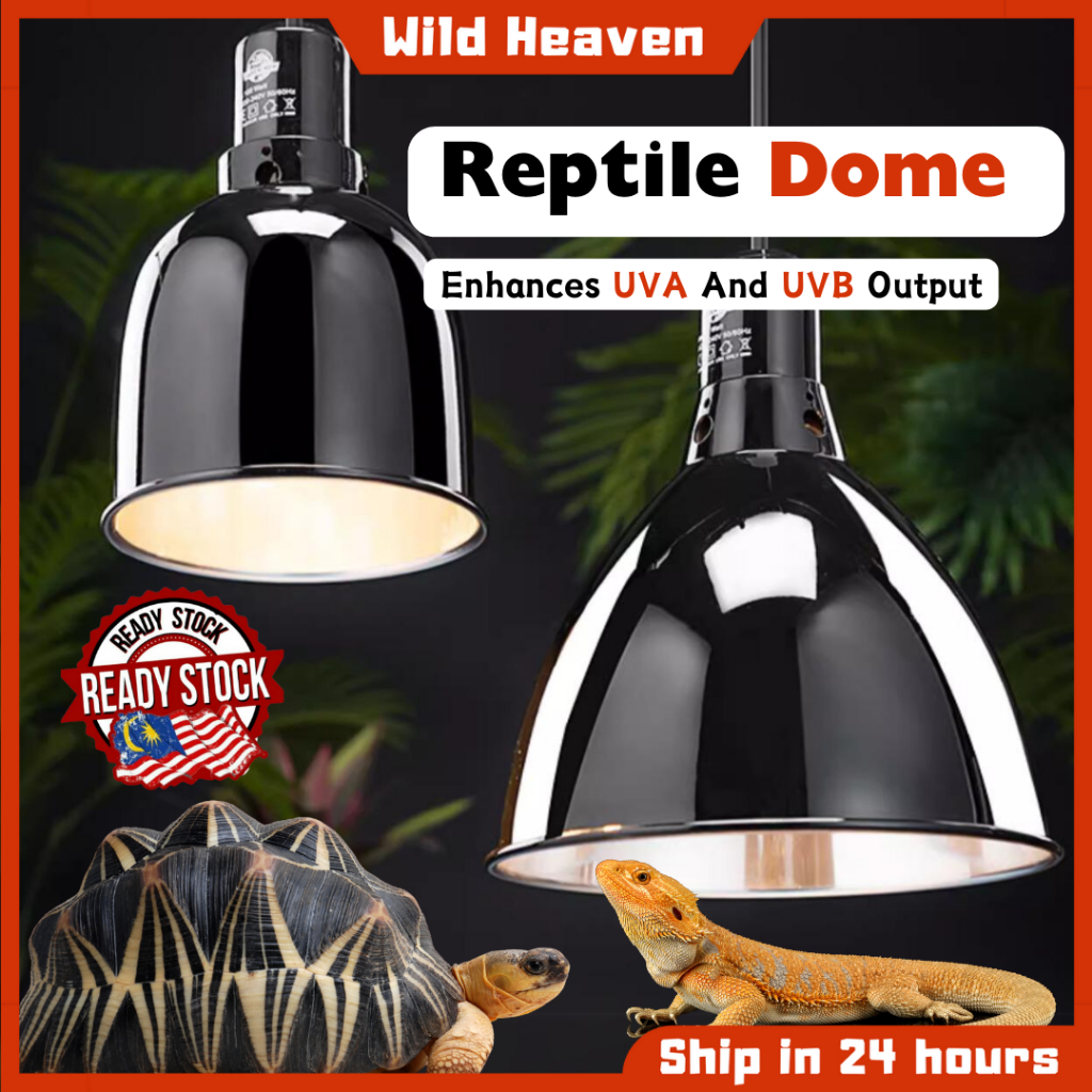 Reptile Dome Uvb Uva Light Fixture Lamp Shade Tortoise Holder Ceramic ...
