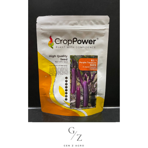 (2g / 5g / 10g) Crop Power EG 1 Purple Treasure / Terung Panjang / 长茄 ...