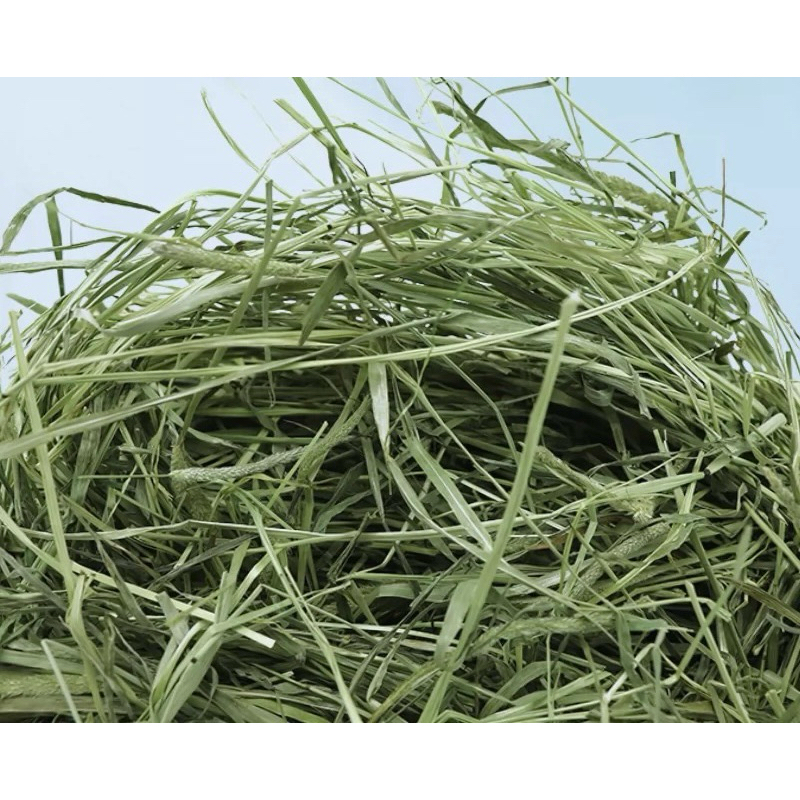 Ready Stock air dried Timothy hay 1kg rabbit chinchilla guinea pig food ...