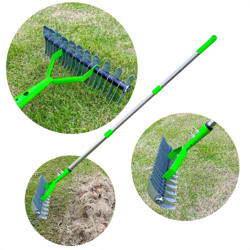 Thatch Rake / Detach the Dead Grass / Manual Hay Rake Tool / Detach ...