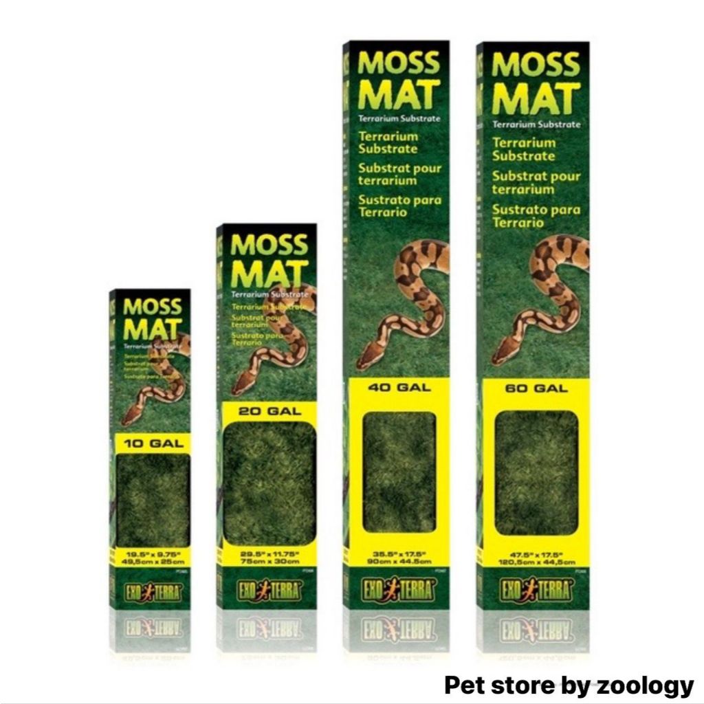 Exo Terra Moss Mat Terrarium Substrate for reptile enclosure bearded ...