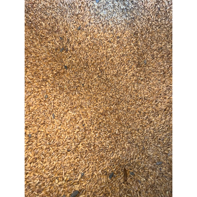 Makanan Burung Padi Bulat 1kg | Shopee Malaysia