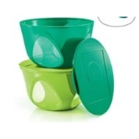 🔥READY STOK🔥 [ORI💯] TUPPERWARE Outdoor Dining Bowl (1) 4.3L | Shopee ...