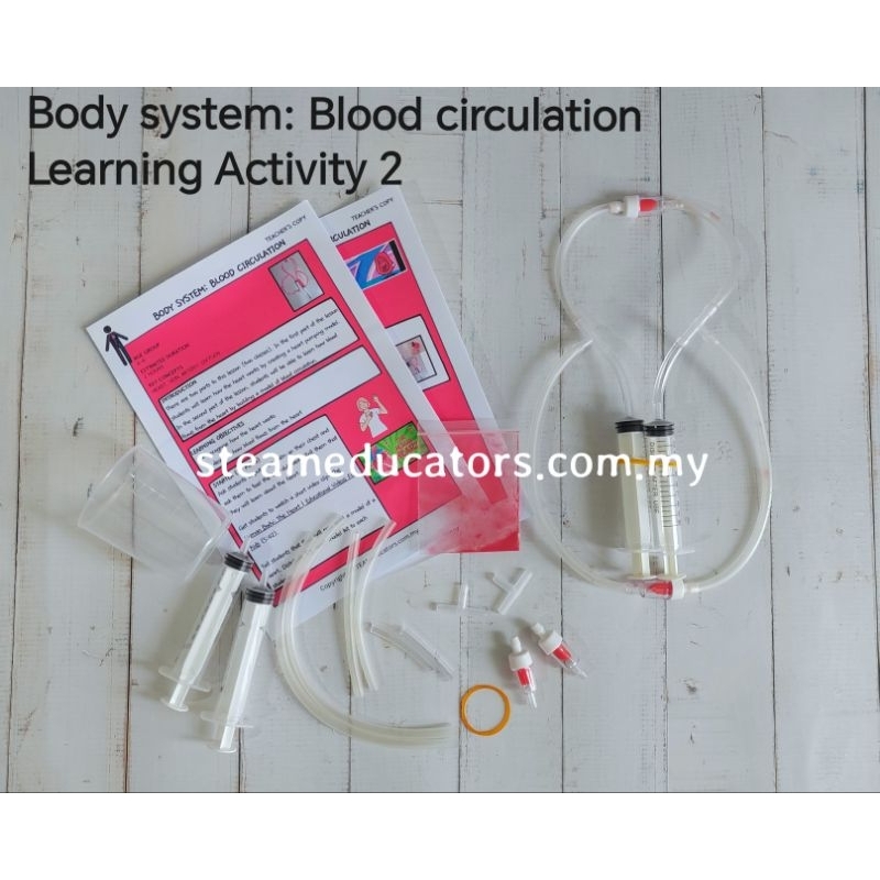 Science Experiment STEAM STEM Projek RBT KSSR KSSM Human System | DIY ...