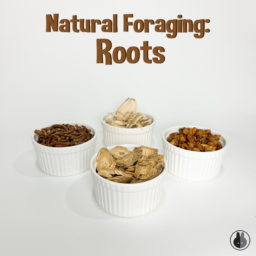 Forage: Dried Roots For Rabbits (Chicory, Marshmallow, Burdock ...