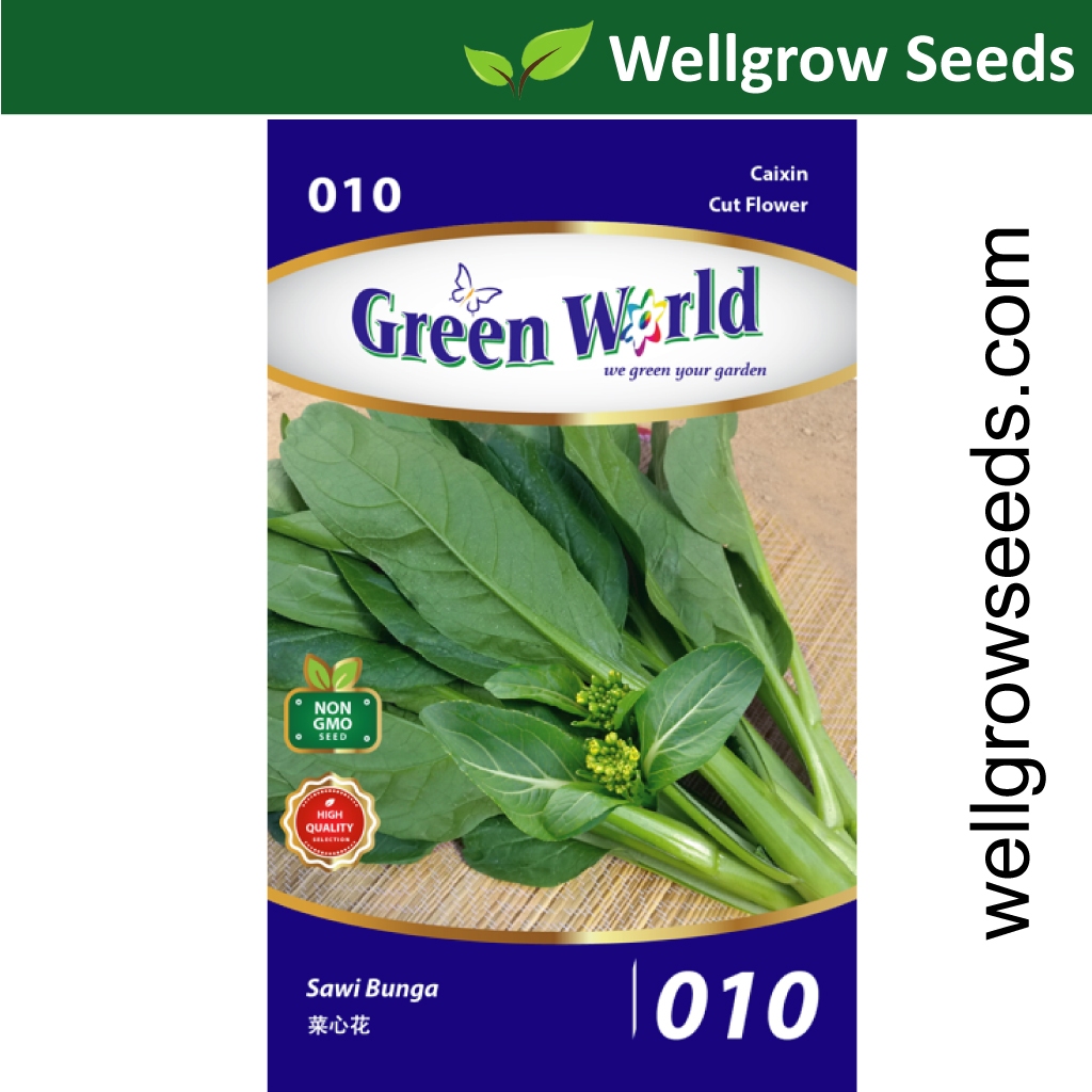 Caixin Cut Flower (10gm) Choy Sum Choi Sum 切花菜心 Biji Benih Sawi Bunga ...