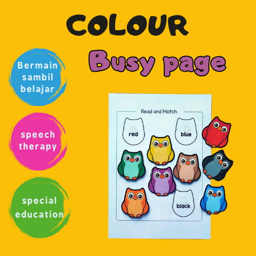 M12(B) – Colour (Owl) Matching Busy Page/ Busy Book - preschool ...