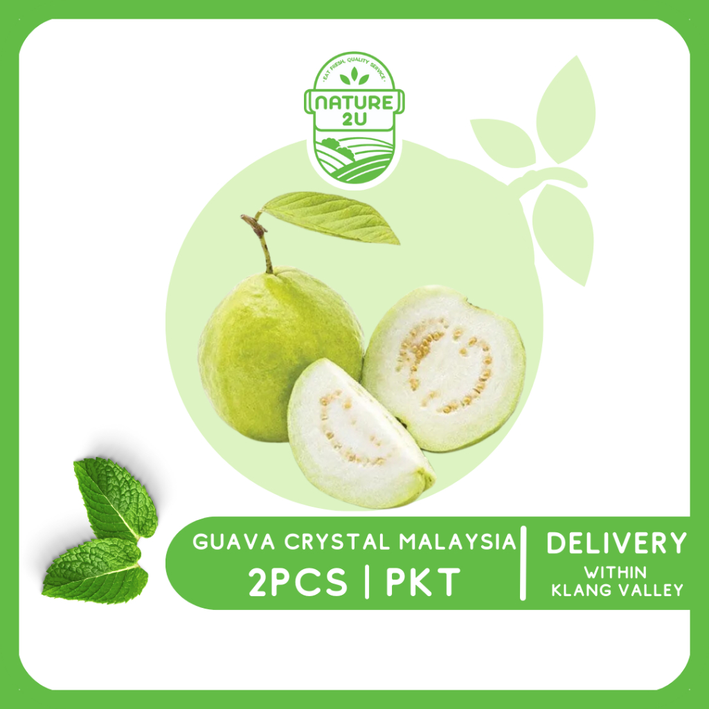 Nature2U Fresh Fruit - Guava Crystal Malaysia / Jambu Kristal / 番石榴 ...