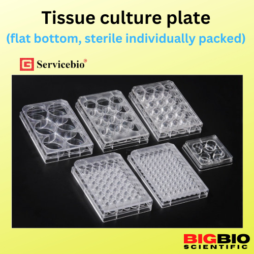 (READY STOCK) 96 Well Plate (TC-treated) (ELISA/antioxidant plate ...