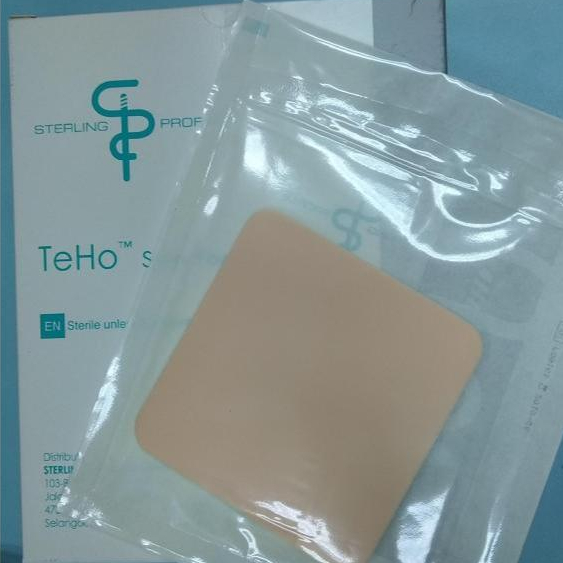 Teho Foam Dressing (15cm x 15cm) 1 box | Shopee Malaysia
