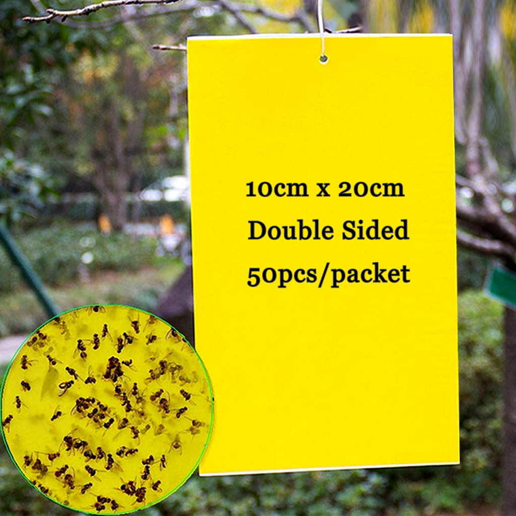 50pcs Double Sided Yellow Sticky Glue Trap Perangkap Serangga Lalat ...