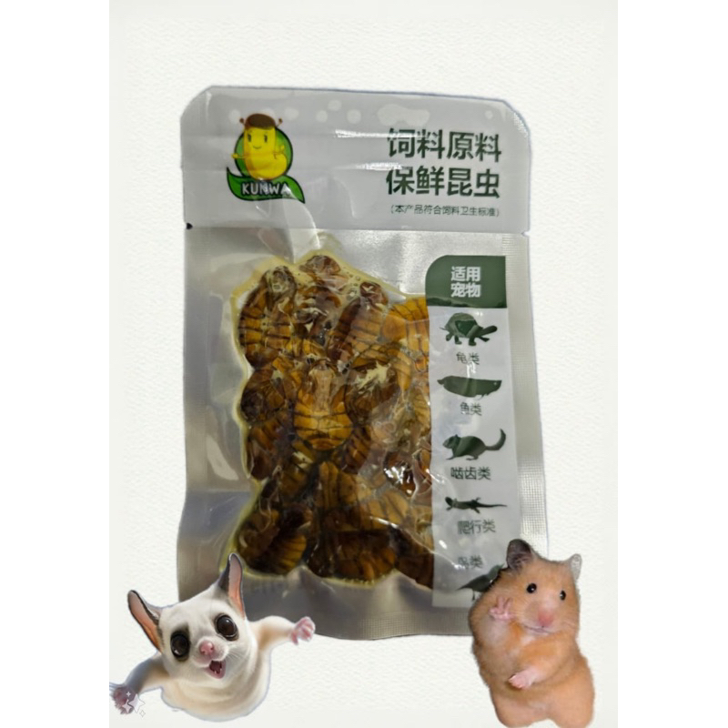 Vacuum pack Dubia Super worm Cricket Silkworm for Sugar Glider snack ...
