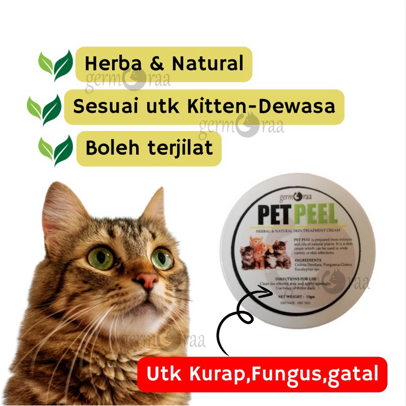 Ubat Kurap Kucing Pet Peel herba cream Luka Sporo Fungus Natural Spray ...