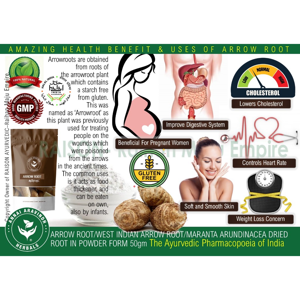 ARROW ROOT/WEST INDIAN ARROW ROOT/MARANTA ARUNDINACEA DRIED ROOT IN ...