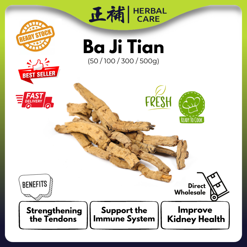 Morinda Root (Ba Ji Tian) 巴戟 巴吉 巴戟天 Herbal Care | Shopee Malaysia