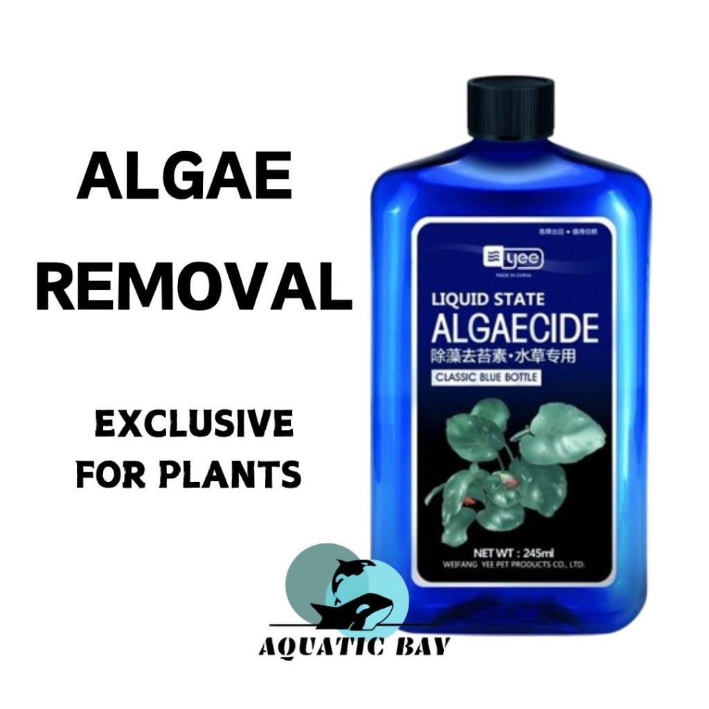 [PREMIUM] YEE Aquarium Algaecide Remove Algae and Moss For Fish Tank ...