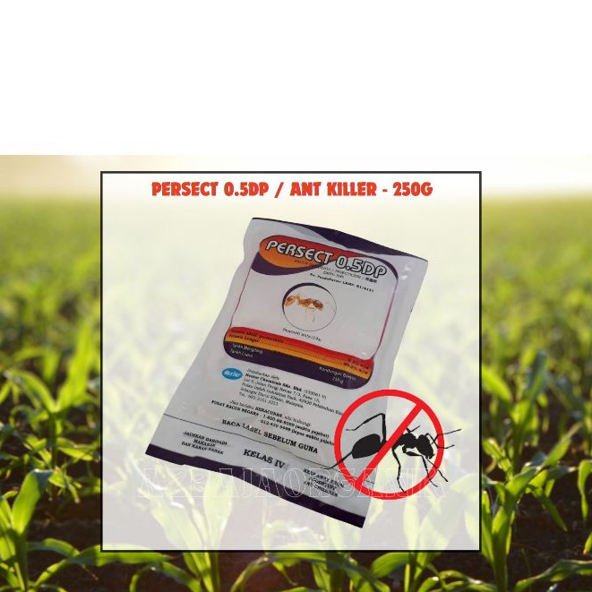 PERSECT 0.5DP /ANTI ANT/ UBAT SEMUT - 250G | Shopee Malaysia