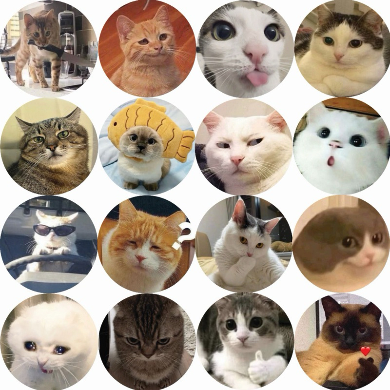 Cat and Oyen Funny 4 Meme 58mm Button Badge Pin | Shopee Malaysia