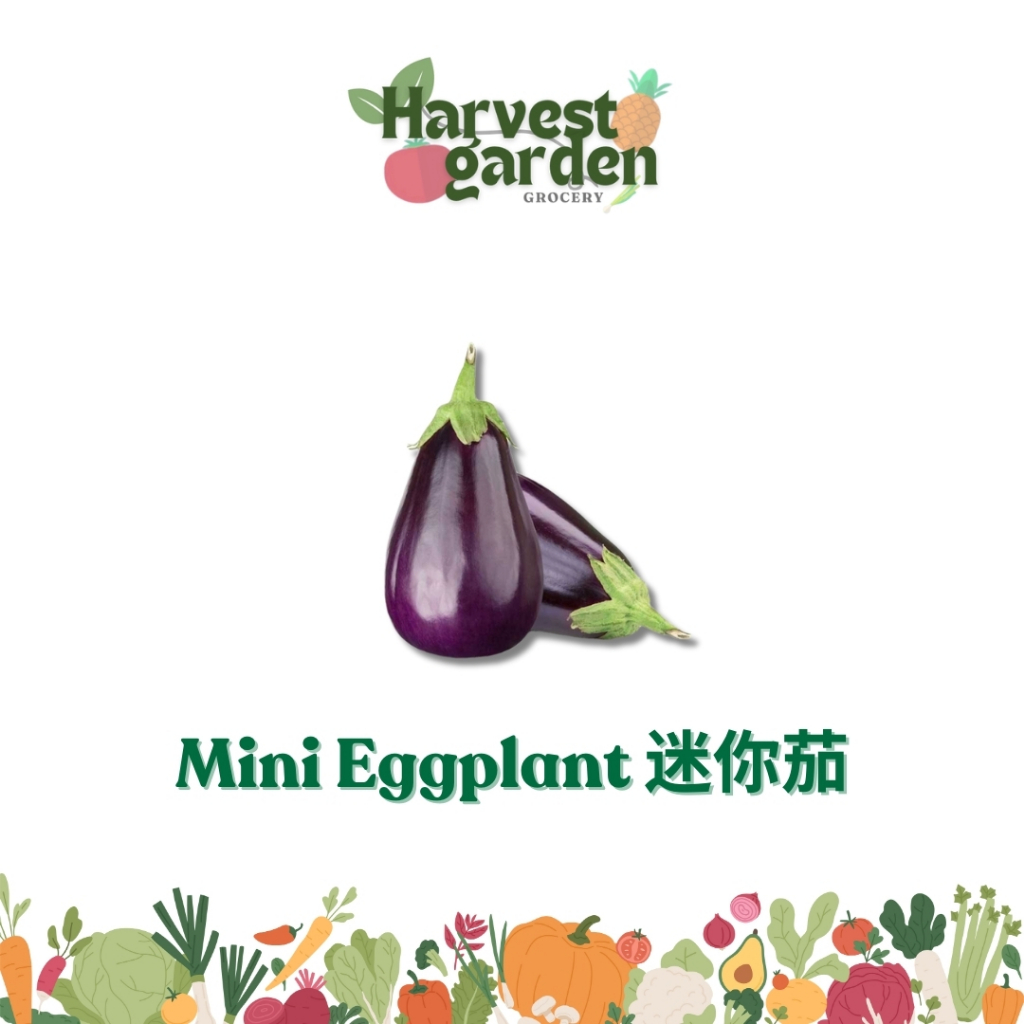 Terung Mini / Baby Terung / Mini Eggplant 迷你茄 1PKT (500g+/-) Daily ...