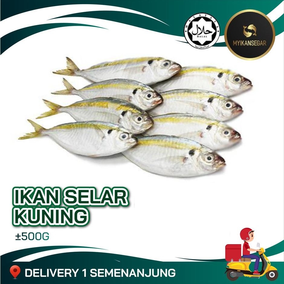 IKAN SELAR KUNING 500G/1KG (SIAP SIANG & CUCI) IKAN MURAH IKAN SEGAR ...