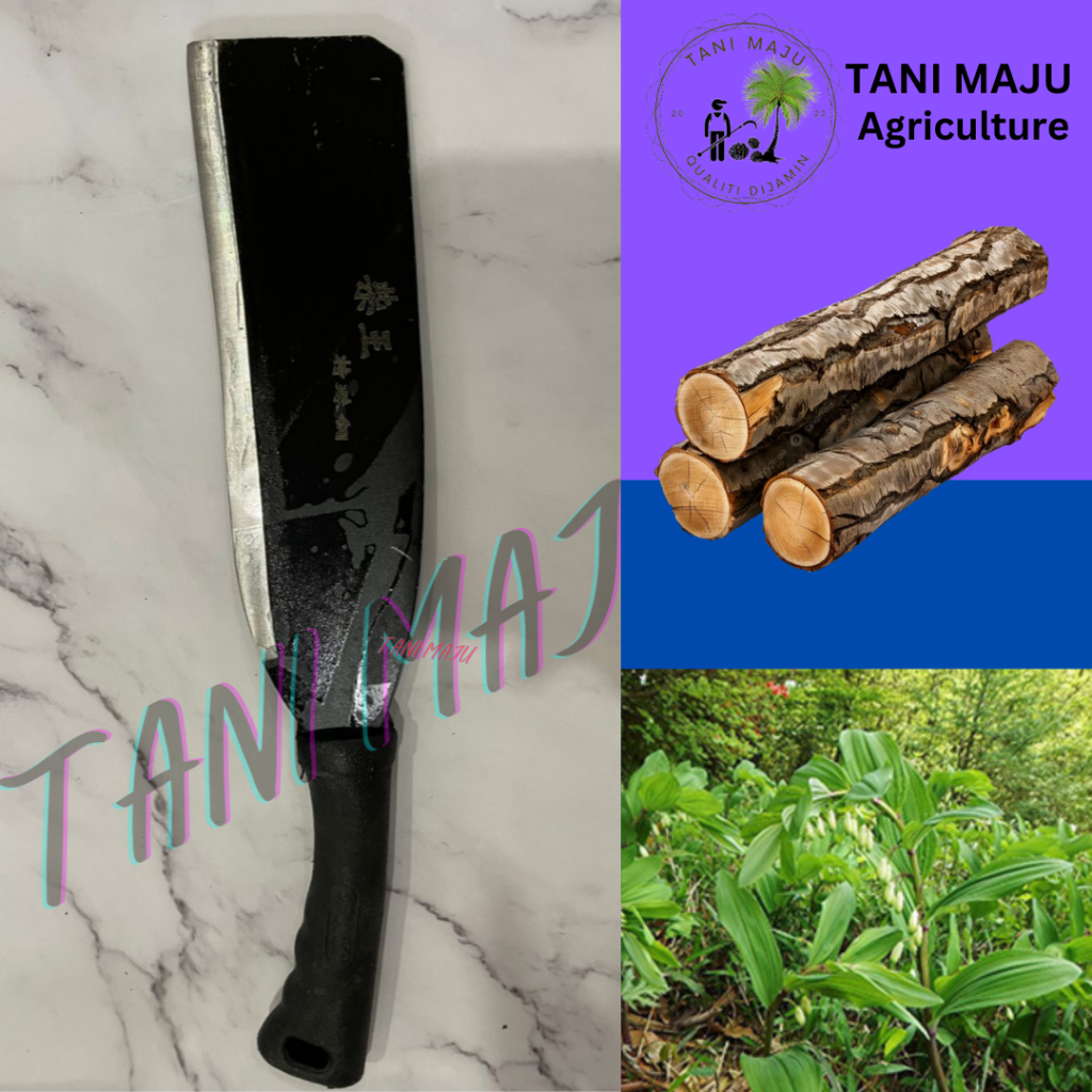 TANI Maju / Sabit RUMPUT/ KAYU BATANG / GARDENIGN TOOLS / MODEL 031 | Shopee Malaysia